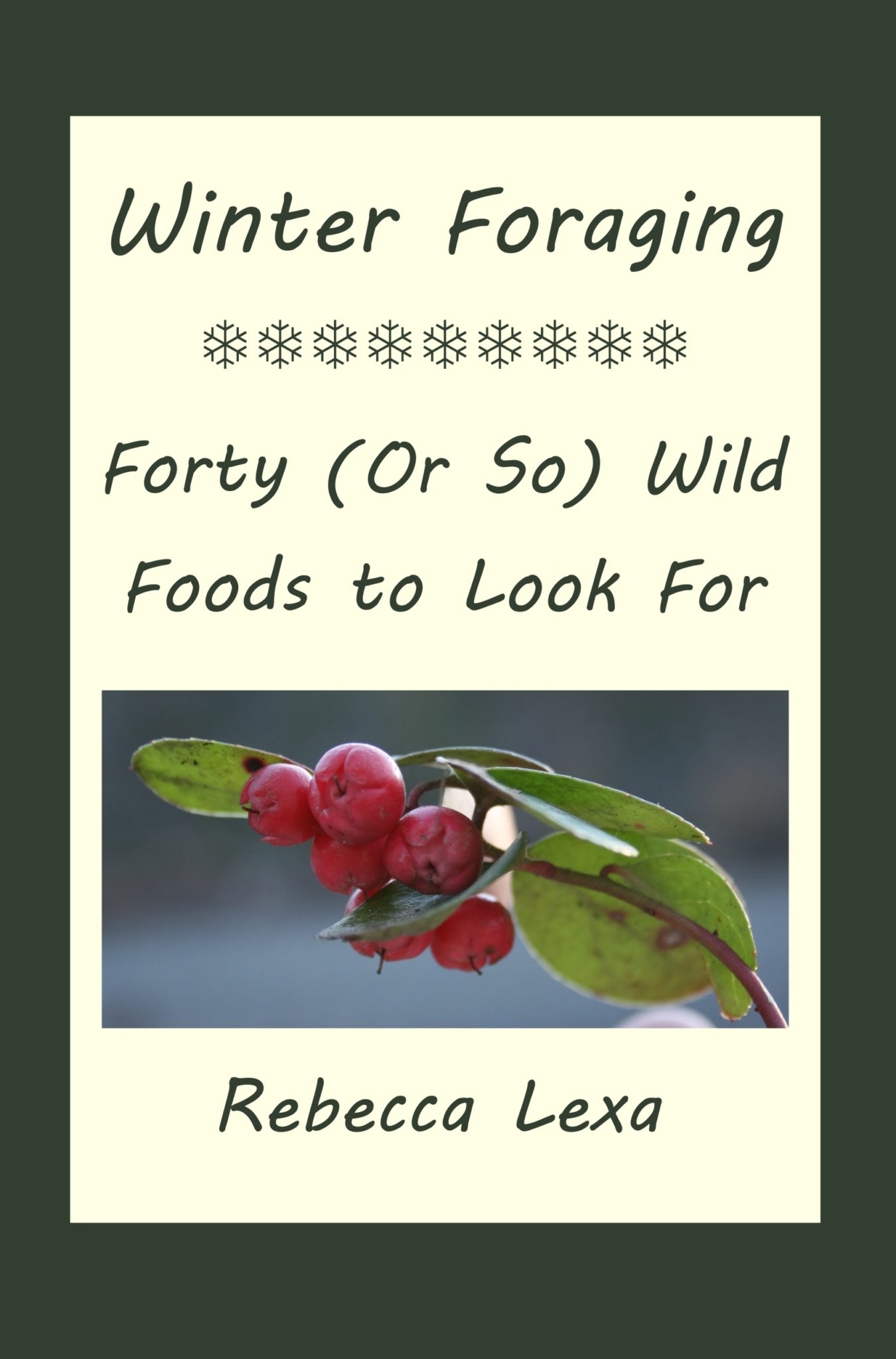 Winter Foraging: Forty (Or So) Wild Foods to Look For - Rebecca Lexa ...