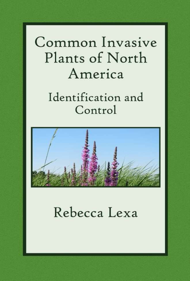 Common Invasive Plants of North America: Identification and Control ...