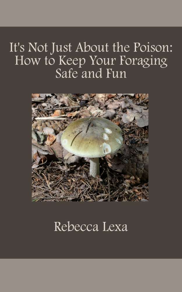 It’s Not Just About the Poison: How to Keep Your Foraging Safe and Fun ...