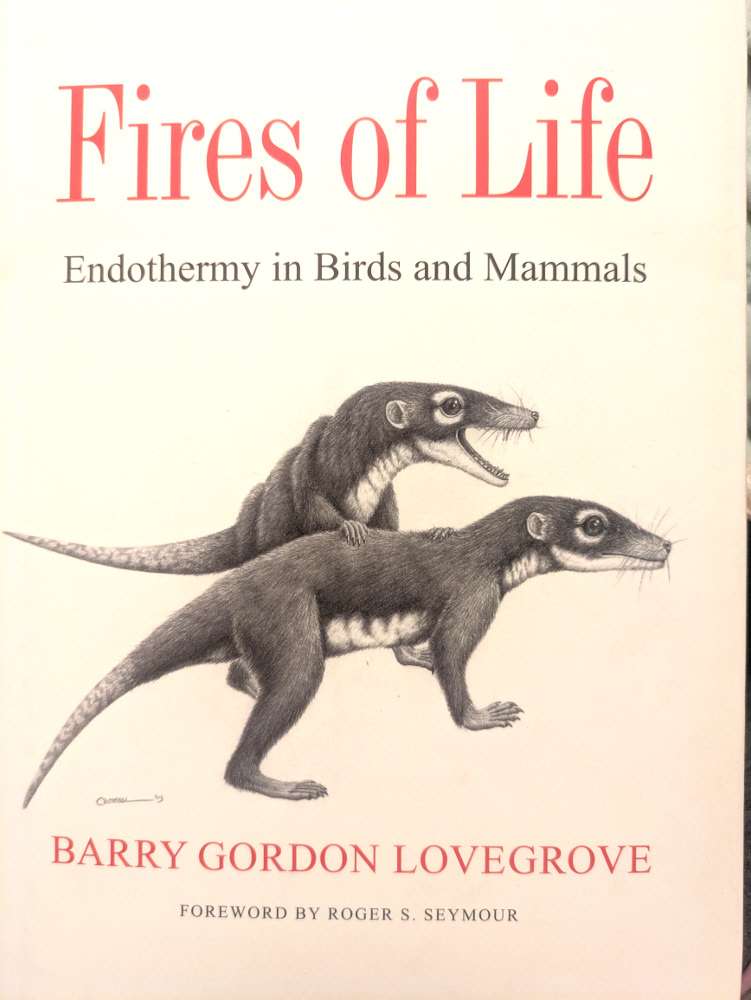 What Is Exaptation? - Rebecca Lexa, Naturalist